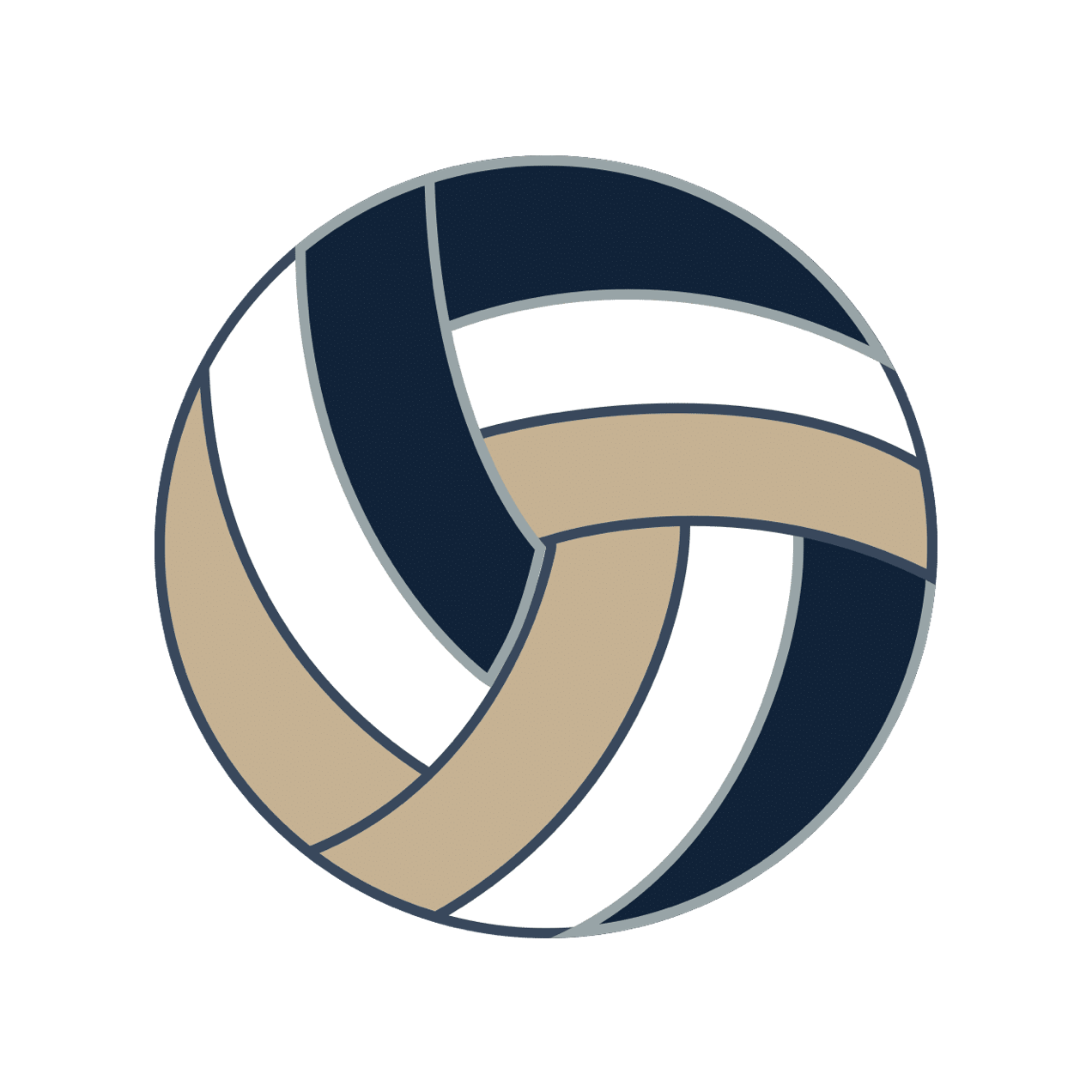 Hitting Volleyball Icon